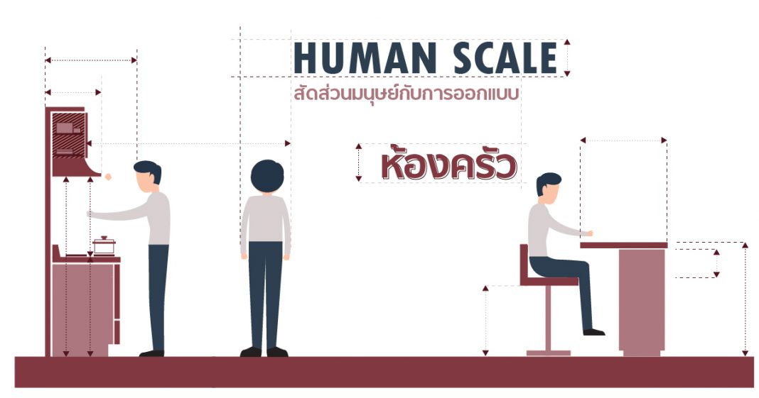 HUMAN SCALE ห้องครัว สัดส่วนมนุษย์กับการออกแบบ - บ้านและสวน