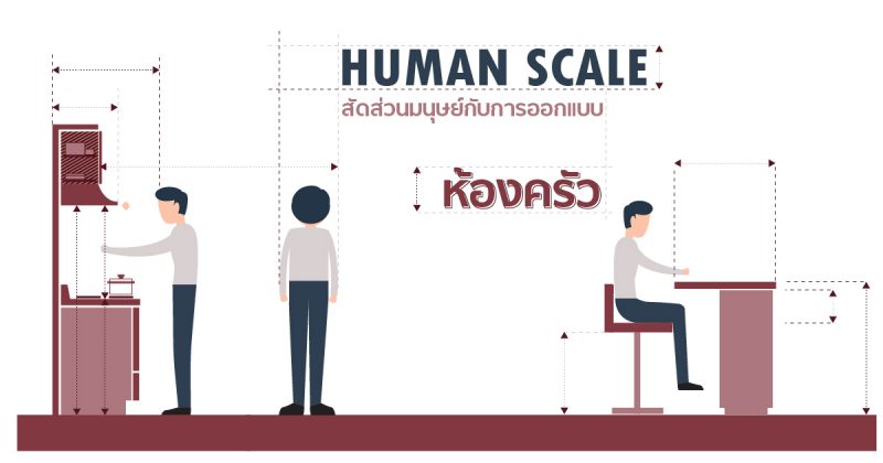 HUMAN SCALE ห้องครัว สัดส่วนมนุษย์กับการออกแบบ - บ้านและสวน