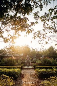 “Rosalind” สวนสไตล์ฟอร์มัล ที่ได้แรงบันดาลใจจากสวนยุโรป - บ้านและสวน