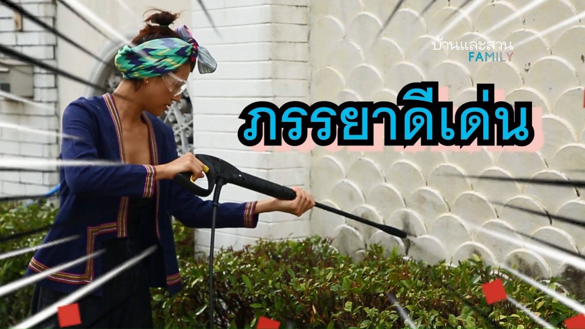 บ้านและสวน Family : Top & Noon ขจัดคราบบนกำแพงรั้ว - บ้านและสวน