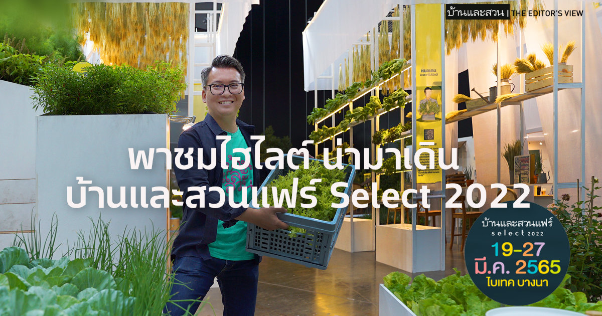 บ้านและสวนแฟร์ select 2022 - The Editor's View - บ้านและสวน