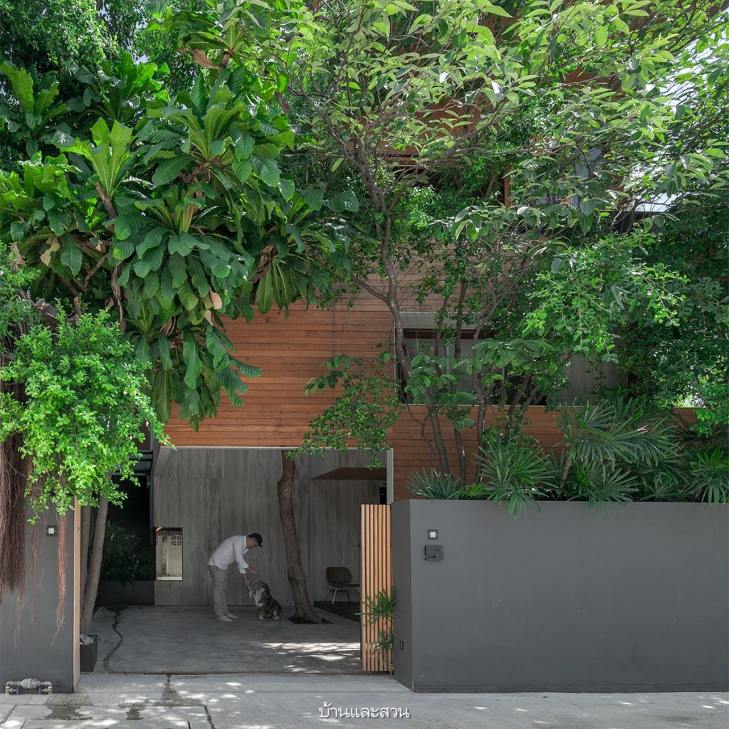 รวมบ้านสวย บ้าน Well-being ที่สร้างความรื่นรมย์ด้วยต้นไม้ - บ้านและสวน