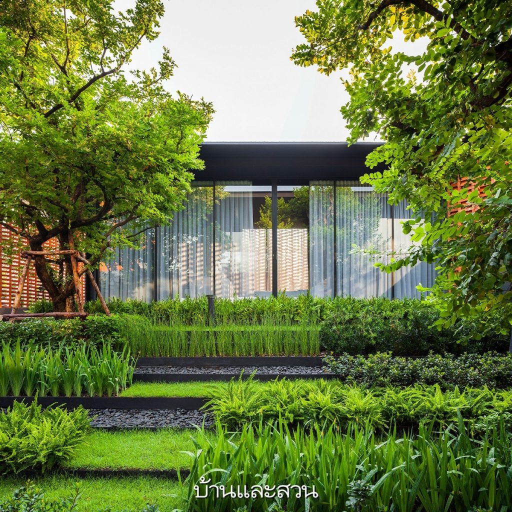 รวมบ้านสวย บ้าน Well-being ที่สร้างความรื่นรมย์ด้วยต้นไม้ - บ้านและสวน