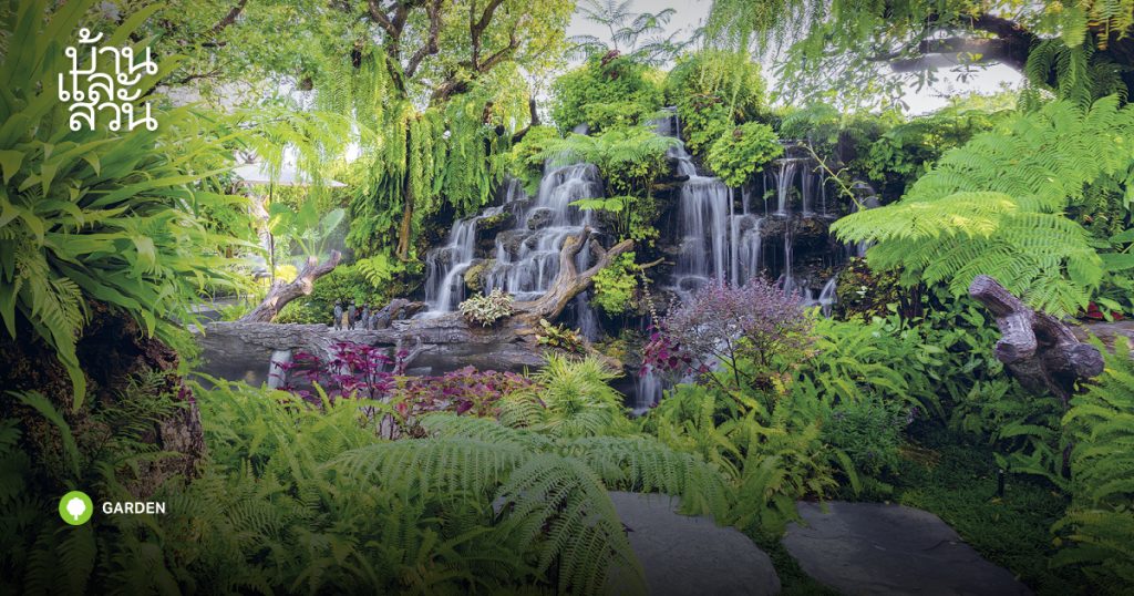 Trees & Co. café สวนป่า เต็มรูปแบบ โอเอซิสของคนเมืองบนพื้นที่เกือบไร่