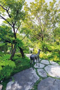 Trees & Co. café สวนป่า เต็มรูปแบบ โอเอซิสของคนเมืองบนพื้นที่เกือบไร่