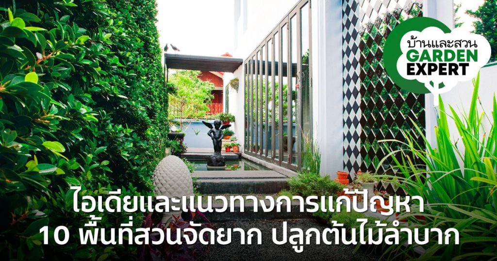 10 พื้นที่สวนจัดยาก ปลูกต้นไม้ลำบาก พร้อมแนวทางการแก้ปัญหา