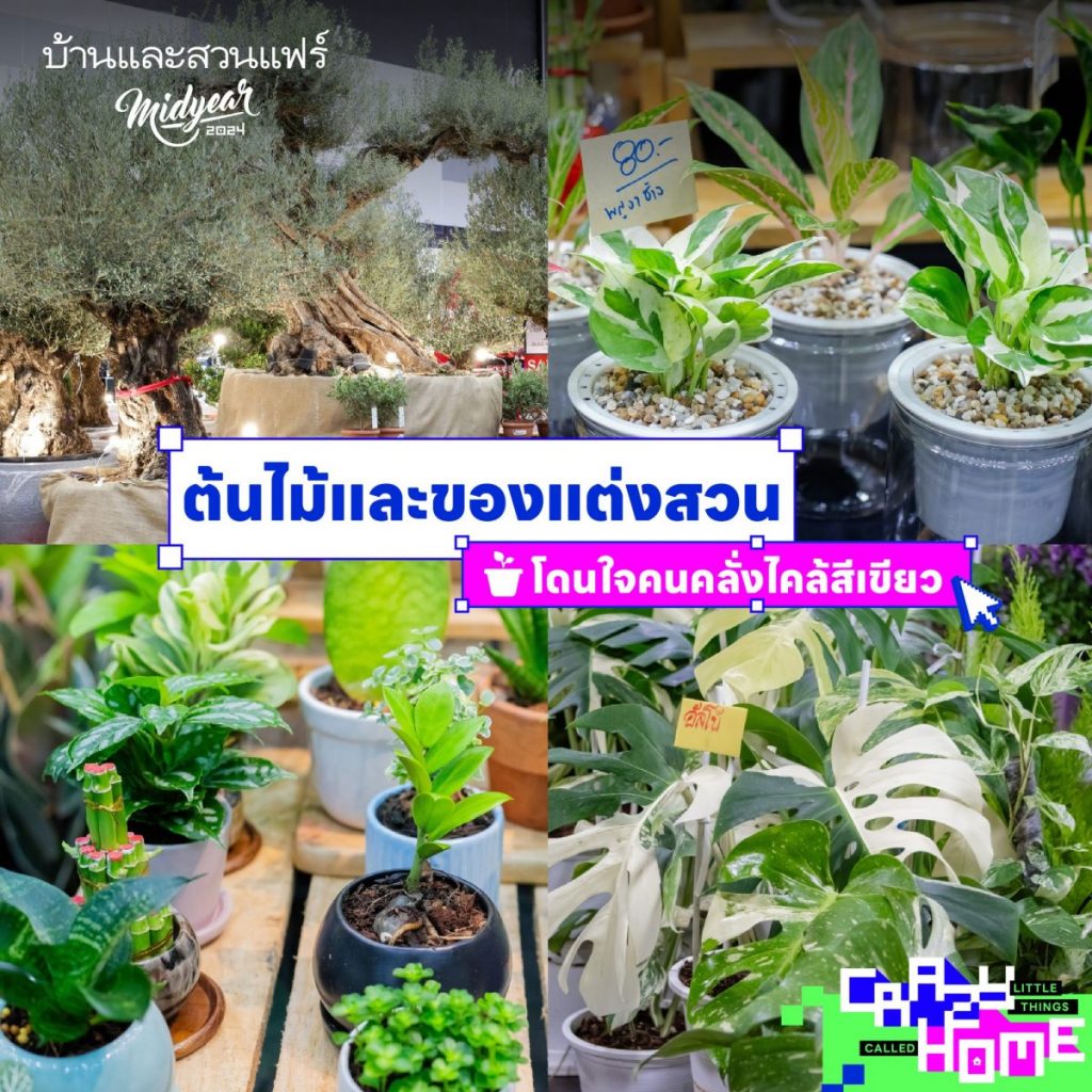 ผังงานบ้านและสวนแฟร์ Midyear 2024 - บ้านและสวน